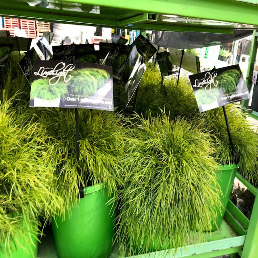 Premium Grade Potting Mix | Professional Quality Growing Medium – The ...